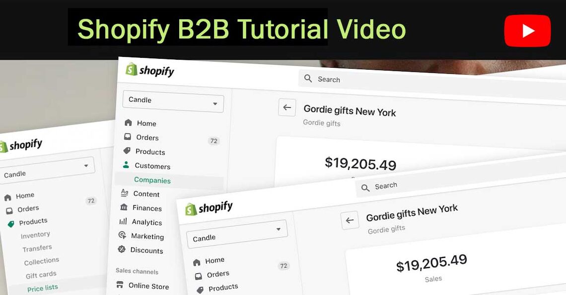 Easy Tutorial: Configuring Your Shopify B2B Store (Part 1) – Sunrise Integration